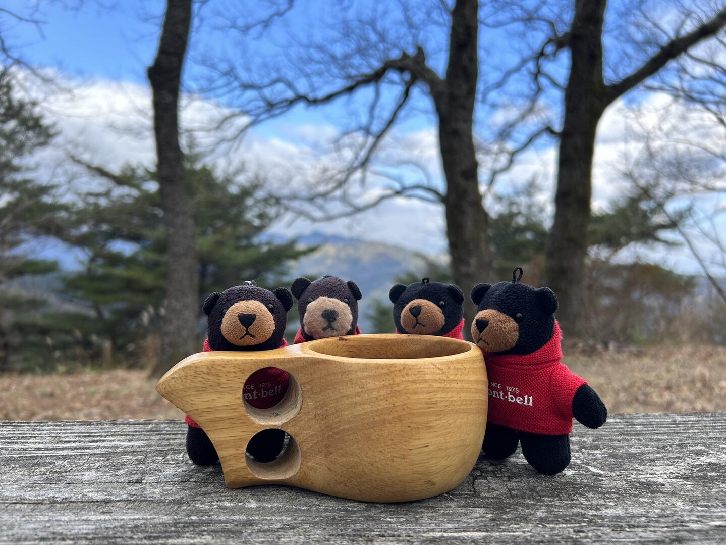 2024登り初め((´∀`*))天面山。 / datinさんの天面山の活動データ | YAMAP / ヤマップ