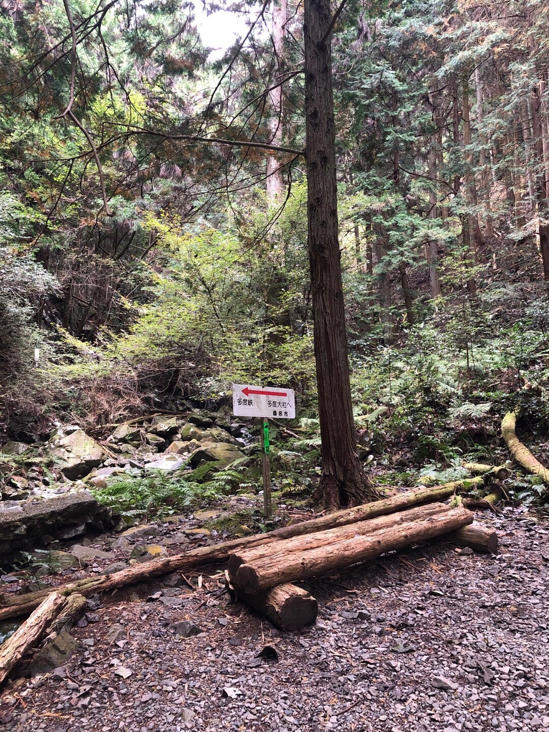 poppoさんの投稿したフィールドメモ | YAMAP / ヤマップ