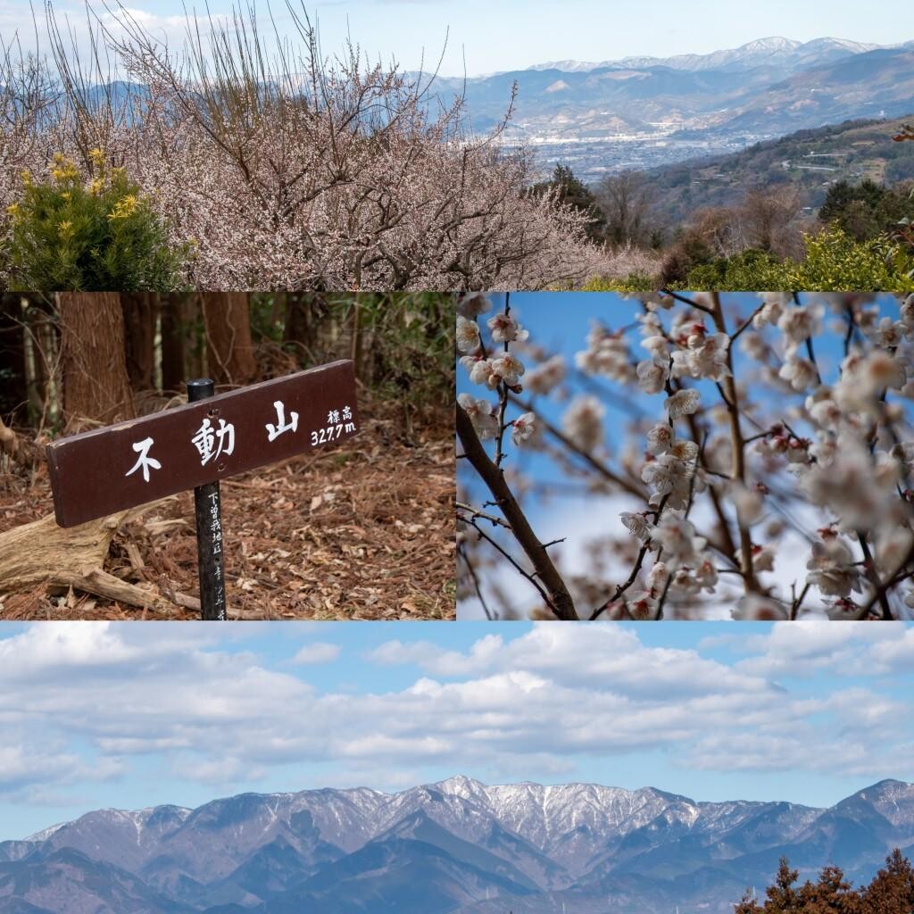 曽我丘陵 / Hazzie.さんの不動山・浅間山・曽我山の活動データ | YAMAP / ヤマップ