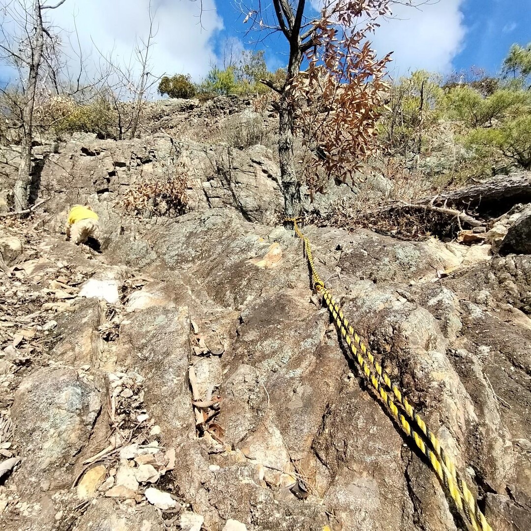 百々ヶ峰ロックガーデン岩舟＆長良山下見③ / PUKUDX SpSLw ぷくでらっくす・すーぱーすろうさんの百々ヶ峰・源太峰の活動データ | YAMAP / ヤマップ