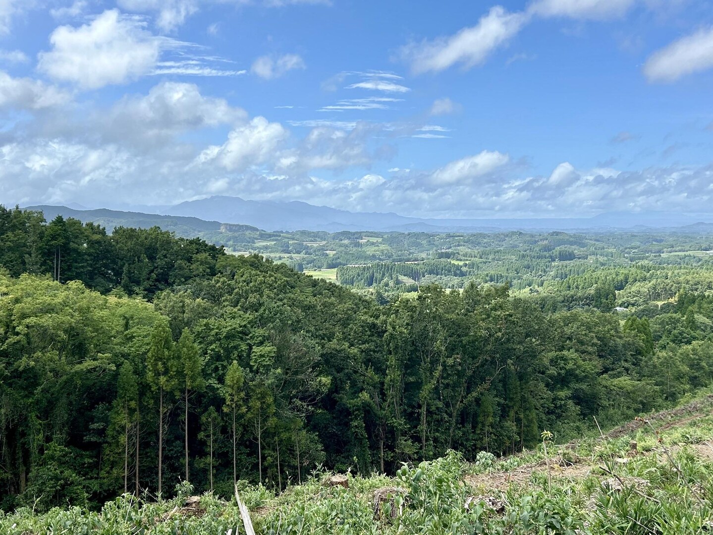 穏やかなうちに(｡･ω･｡)田口山・八山 / datinさんの鎧ヶ岳の活動データ | YAMAP / ヤマップ
