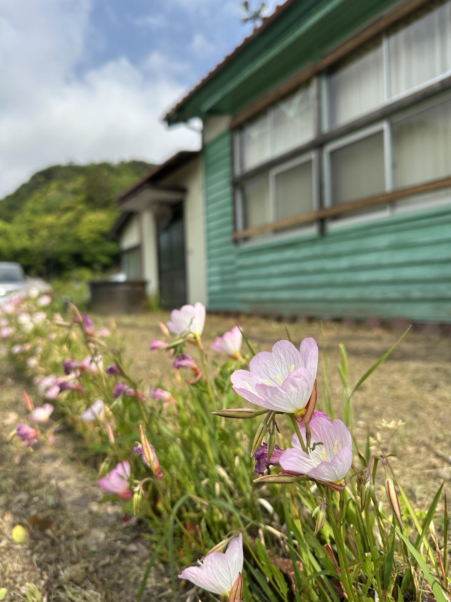 物見塚山・スイセンピーク・嵯峨山・三浦三良山・大塚山 / dio16 ディオヒロさんの梨沢・七ツ釜渓谷の活動データ | YAMAP / ヤマップ