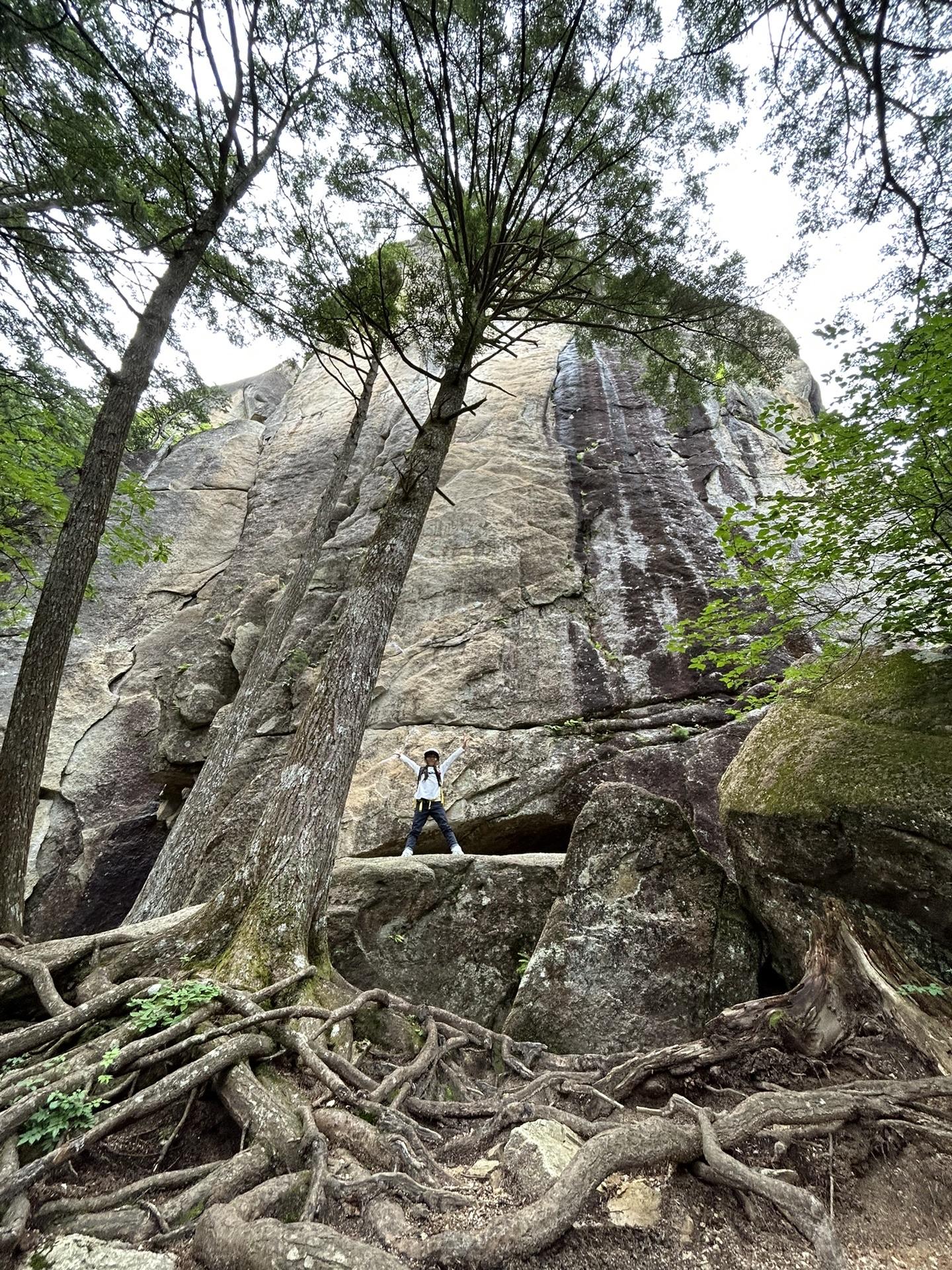 瑞牆山 2023-07-15 / norimakiさんの瑞牆山・金峰山の活動日記 | YAMAP / ヤマップ