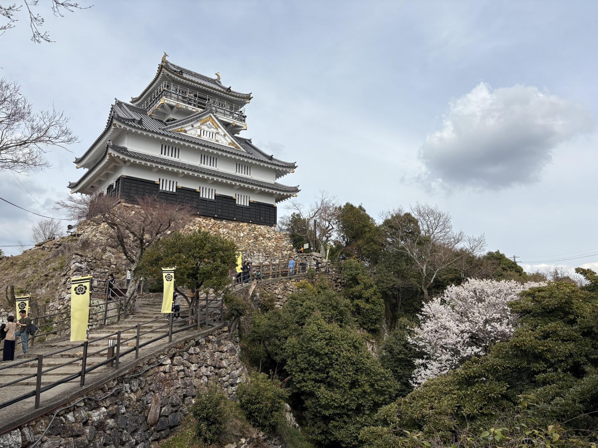 瑞龍寺山・金華山 / SWさんの金華山・洞山・舟伏山の活動データ | YAMAP / ヤマップ