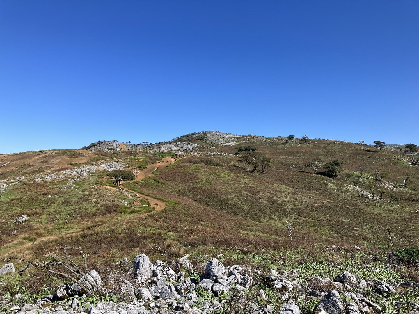 今畑登山口→霊仙山をピストン☺️ / YUさんの霊仙山の活動日記 | YAMAP / ヤマップ