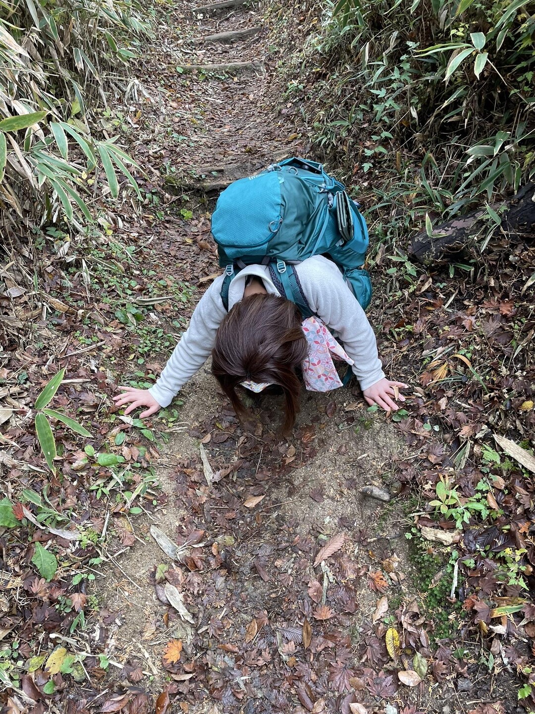ブチっΣ(' ⌓ ’)下山時捻挫は突然に😱😭 / kaoriさんの金剛山・二上山・大和葛城山の活動日記 | YAMAP / ヤマップ