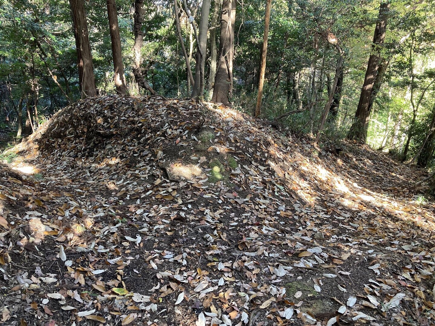 kazz309さんの投稿したフィールドメモ | YAMAP / ヤマップ