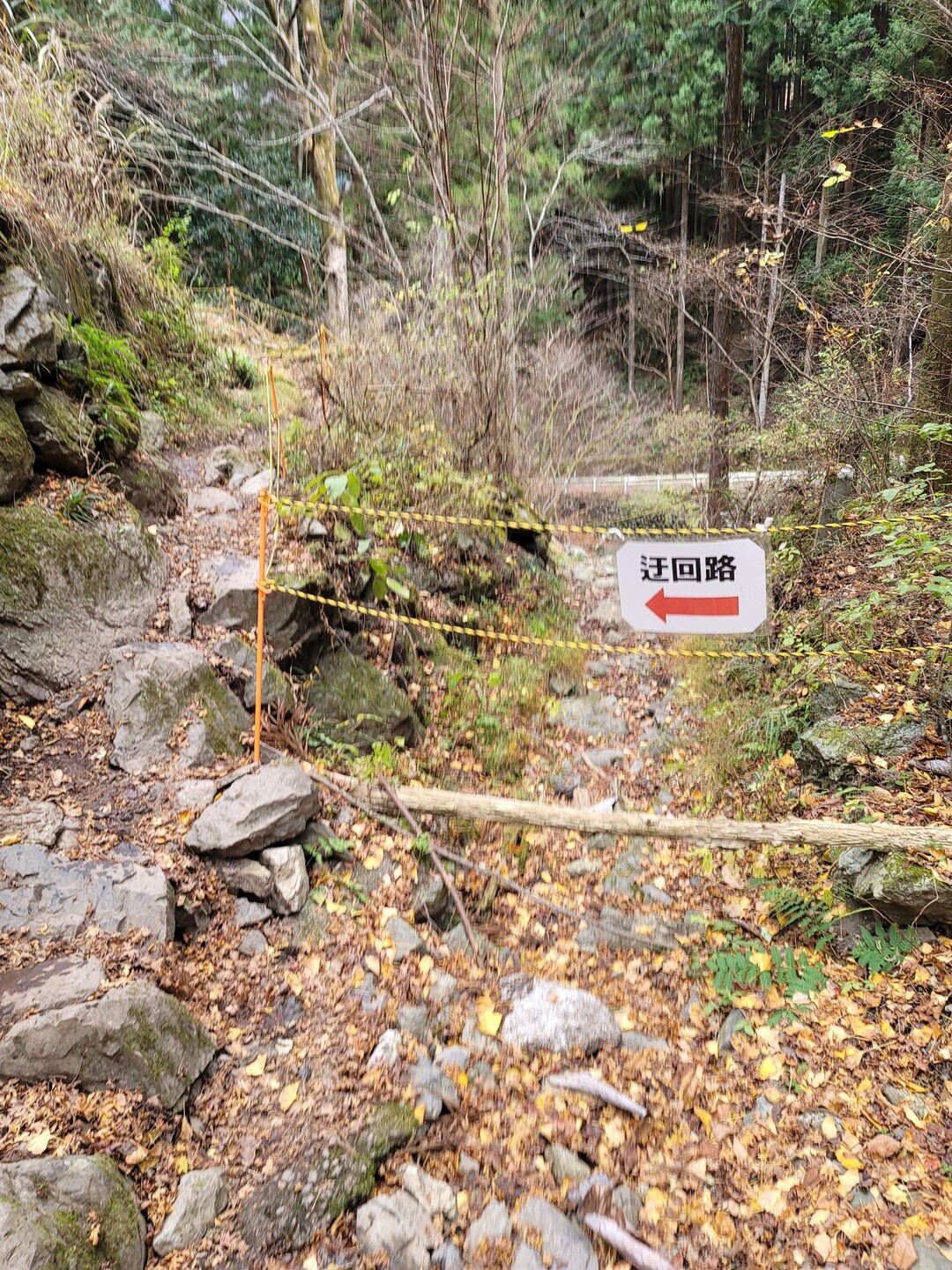 moonさんの投稿したフィールドメモ | YAMAP / ヤマップ