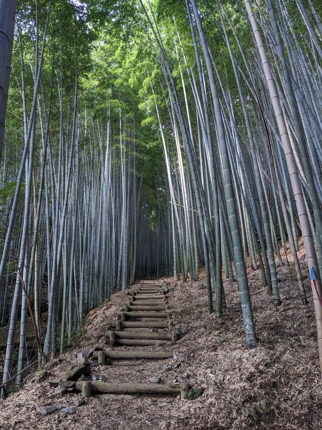 九州オルレ みやま・清水山コース / mkhkさんのウォーキングの活動データ | YAMAP / ヤマップ