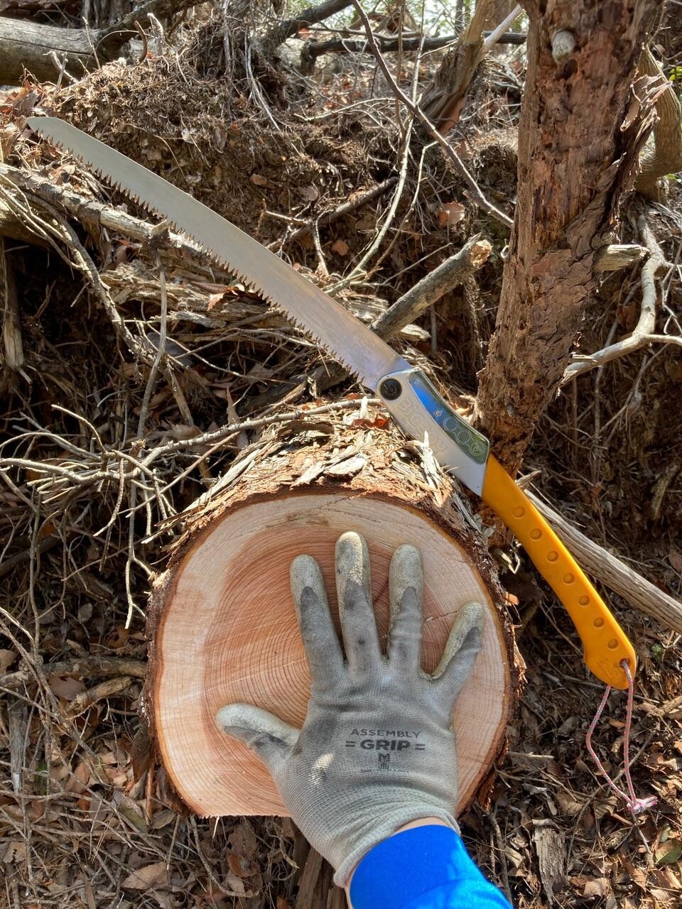 keloのページ | YAMAP / ヤマップ