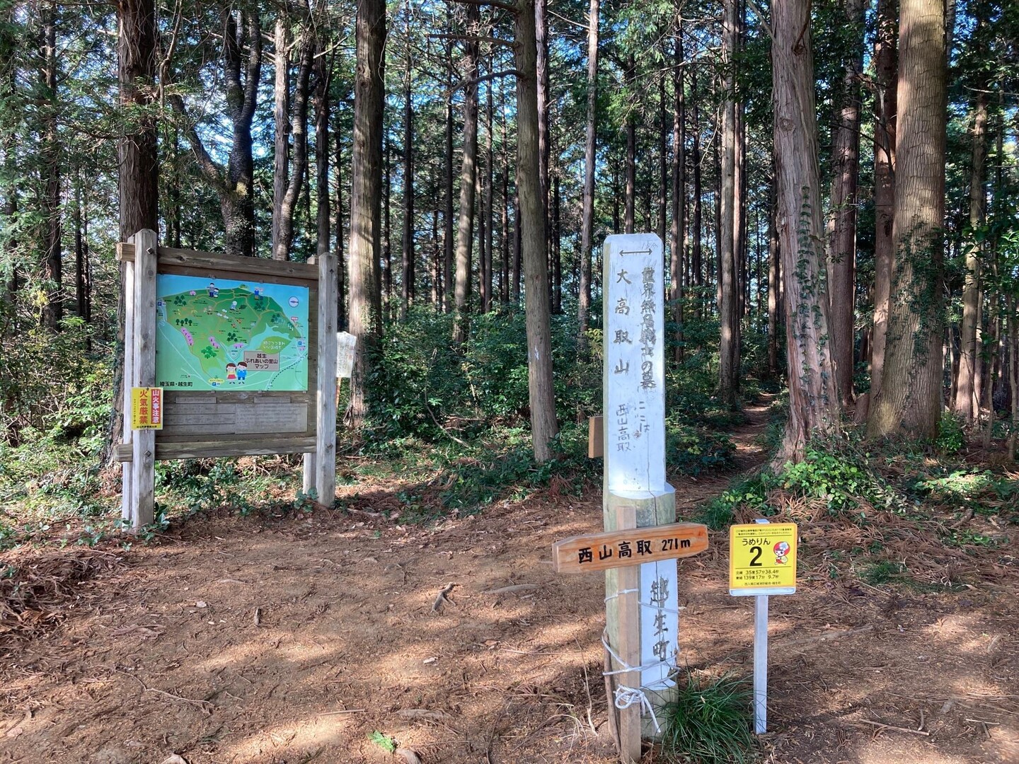 taoさんの投稿したフィールドメモ | YAMAP / ヤマップ