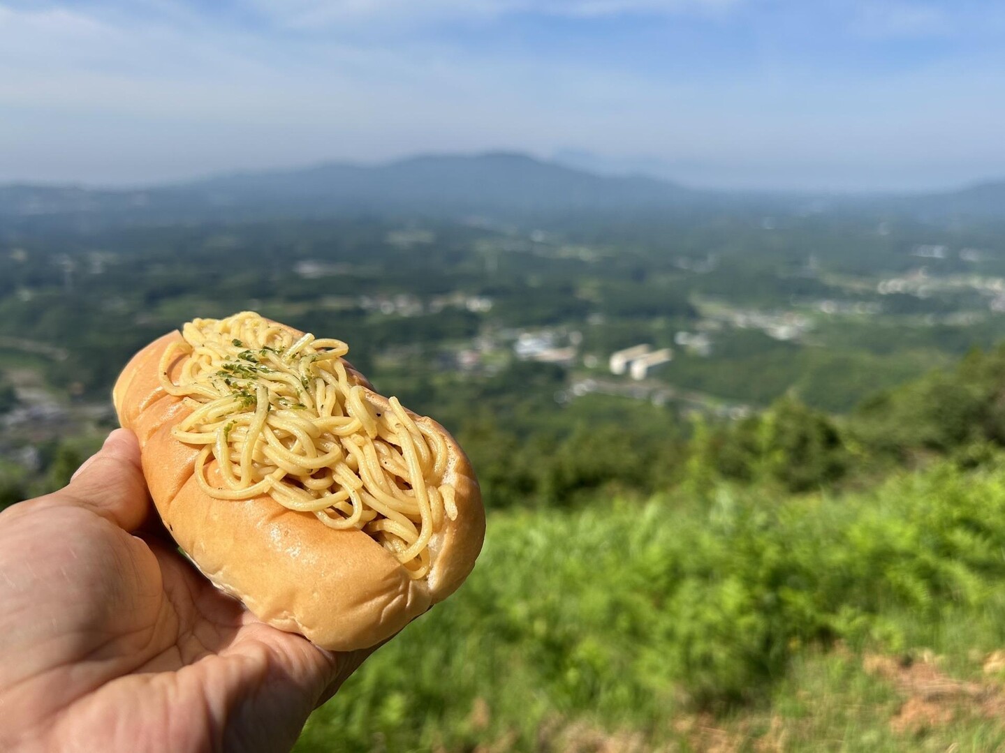 二城山 / Ascaさんの二城山の活動データ | YAMAP / ヤマップ