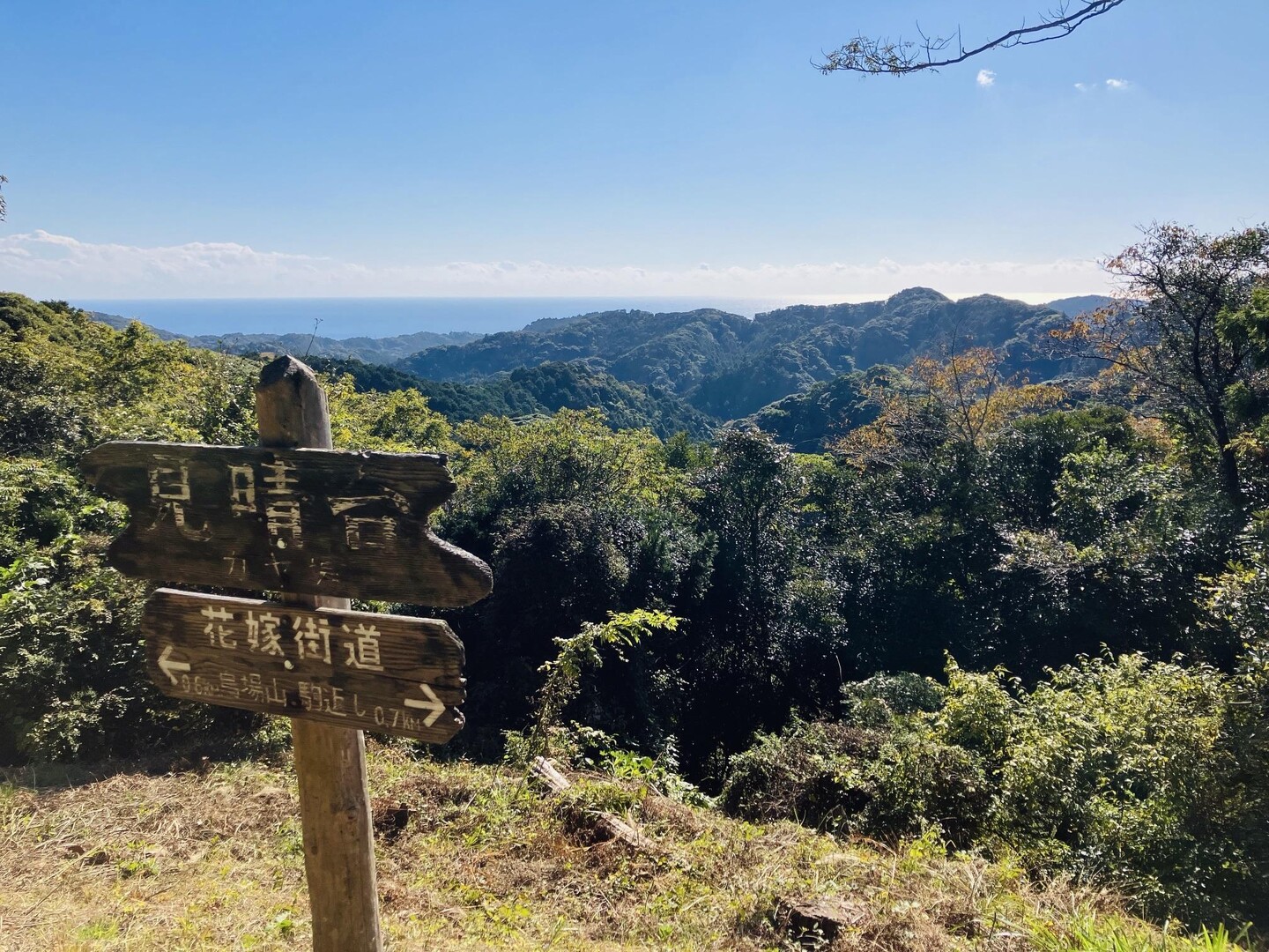 浪々の山旅 南房総 烏場山 / tac_aさんの烏場山・花嫁街道・高鶴山の活動データ | YAMAP / ヤマップ
