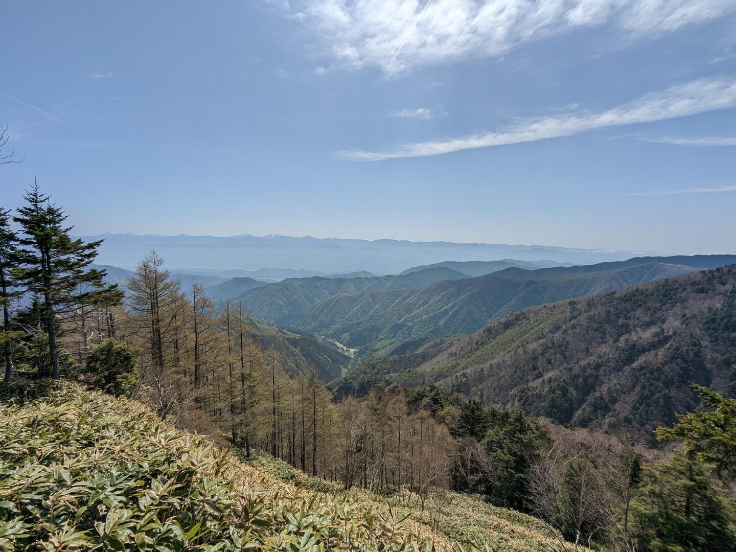 tkhsさんの投稿したフィールドメモ | YAMAP / ヤマップ