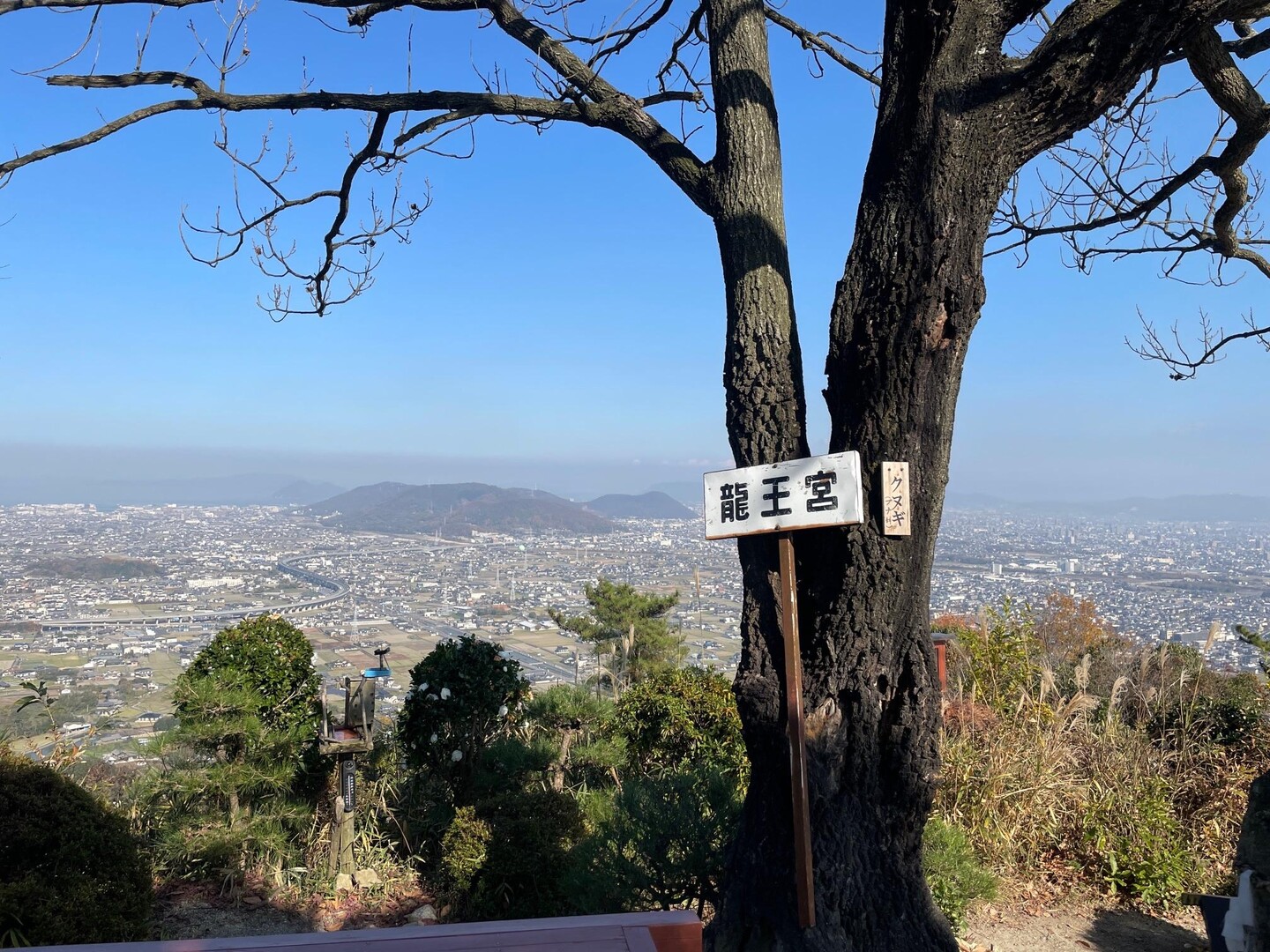 龍王宮・堂山 / ☆taemon☆さんの六ッ目山・堂山・伽藍山の活動データ | YAMAP / ヤマップ