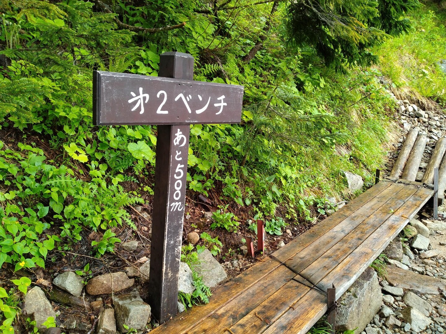 kumaさんの投稿したフィールドメモ | YAMAP / ヤマップ