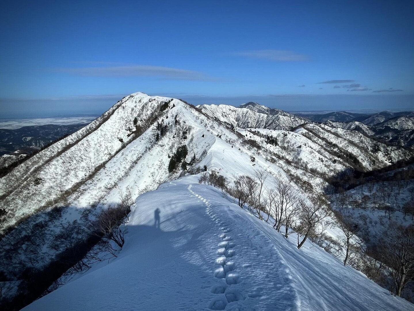 丈競山⛄️⛺️ / ai nknkさんの丈競山・浄法寺山・鷲ヶ岳の活動データ | YAMAP / ヤマップ