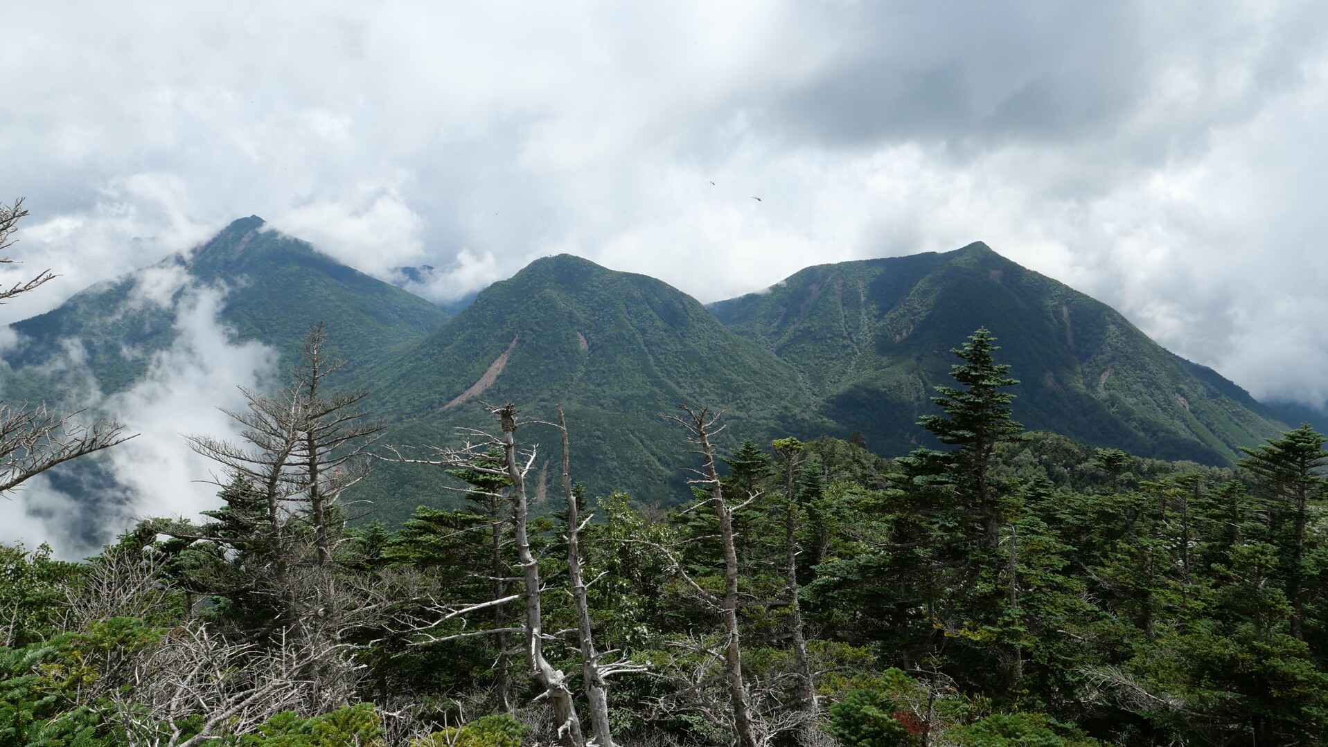 (日光)太郎山 2023-8-26 / Jiro-sanさんの男体山の活動データ | YAMAP / ヤマップ