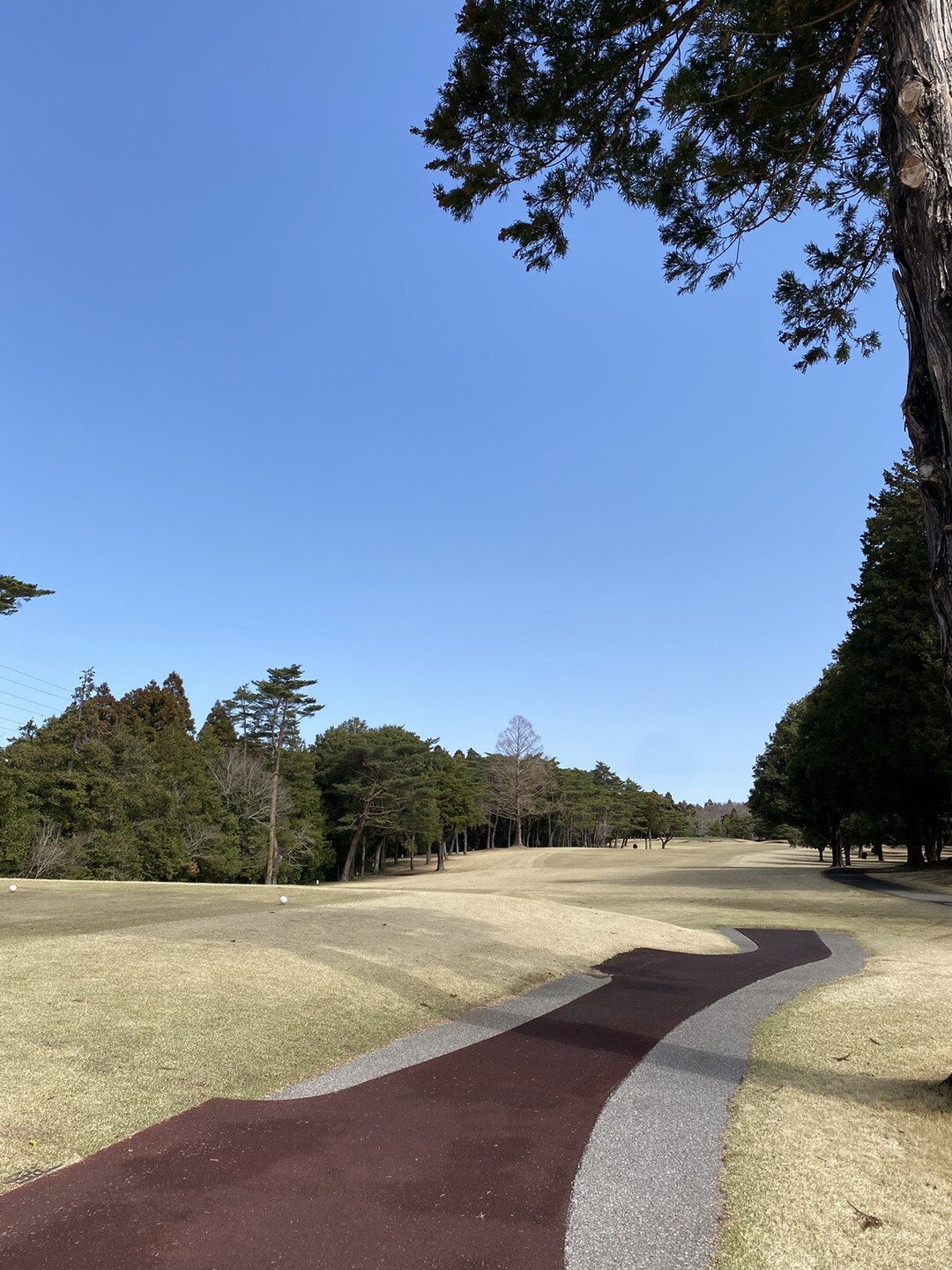 千葉 袖ヶ浦カンツリー、晴天、微風 / JOEさんのモーメント | YAMAP / ヤマップ