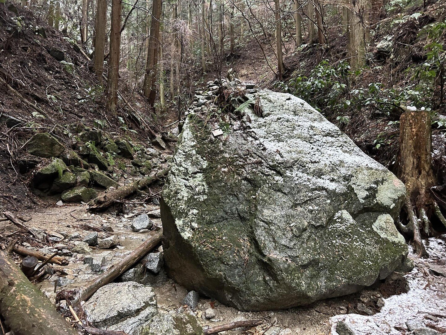 金剛山ツツジオ&モミジの氷瀑観察 / KOH-Z(オッサン釣り倶楽部)さんの金剛山・二上山・大和葛城山の活動データ | YAMAP / ヤマップ