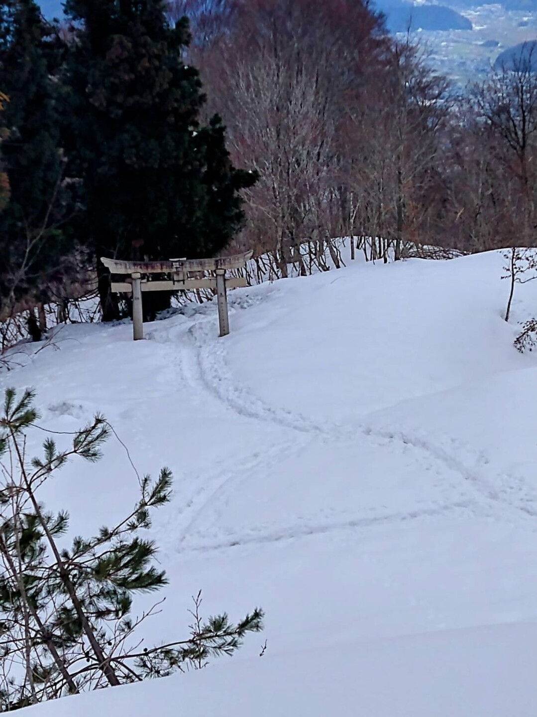 日野山 / opal糸さんの日野山の活動データ | YAMAP / ヤマップ