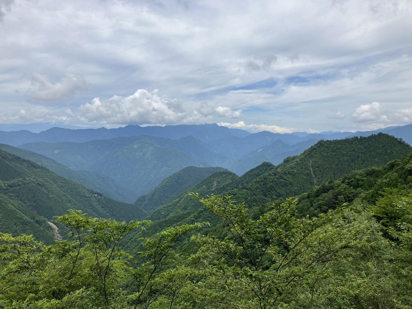 ニゴリ沢山(1071m) テタア山(1291m)・水窪百山完登 / yosiさんの常光寺山の活動データ | YAMAP / ヤマップ