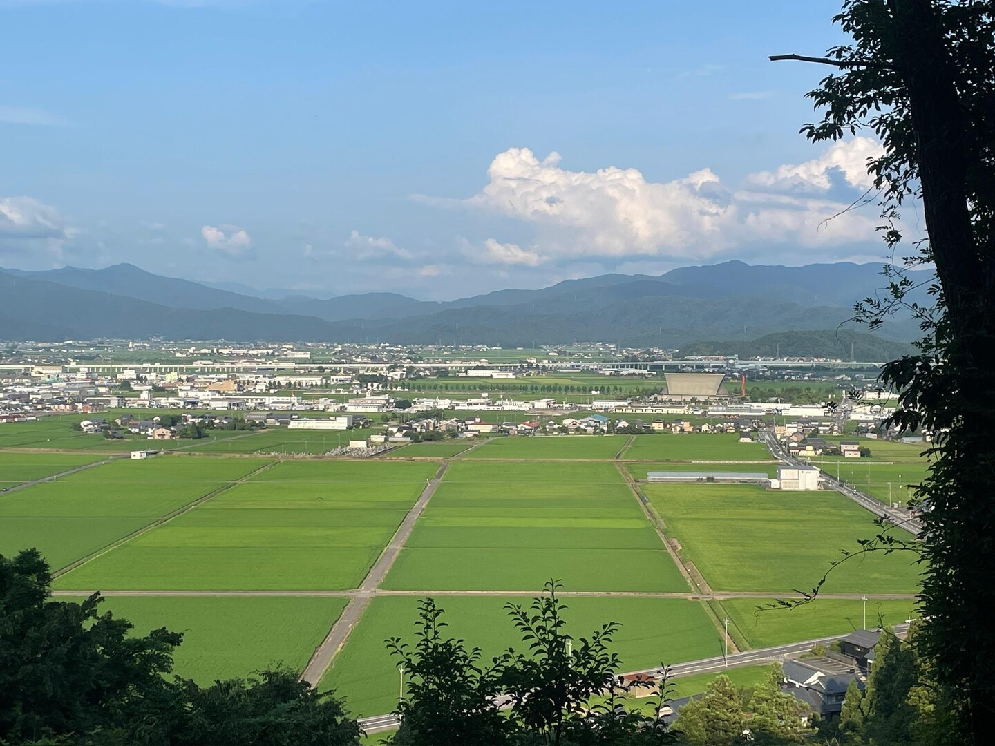 またお気に入り城山（合谷口→頂上→杉谷口） / BMさんの城山・経ヶ岳・天神山の活動データ | YAMAP / ヤマップ