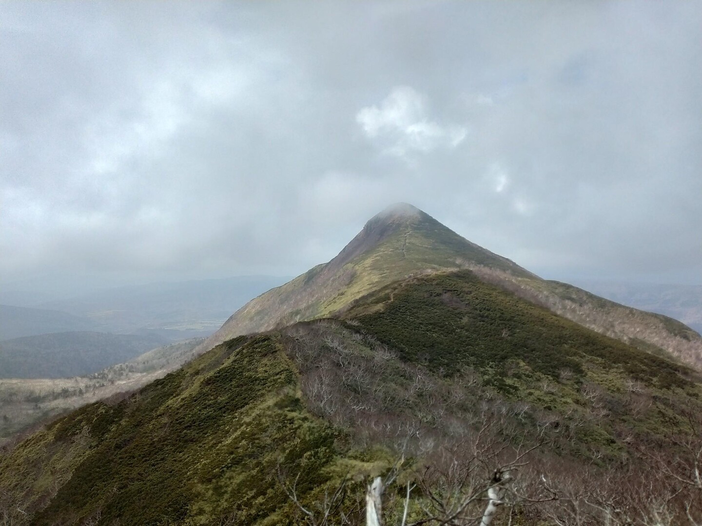 リハビリVer徳峻別山とホロホロ山。 / 氣楽理さんの徳舜瞥山・ホロホロ山の活動データ | YAMAP / ヤマップ
