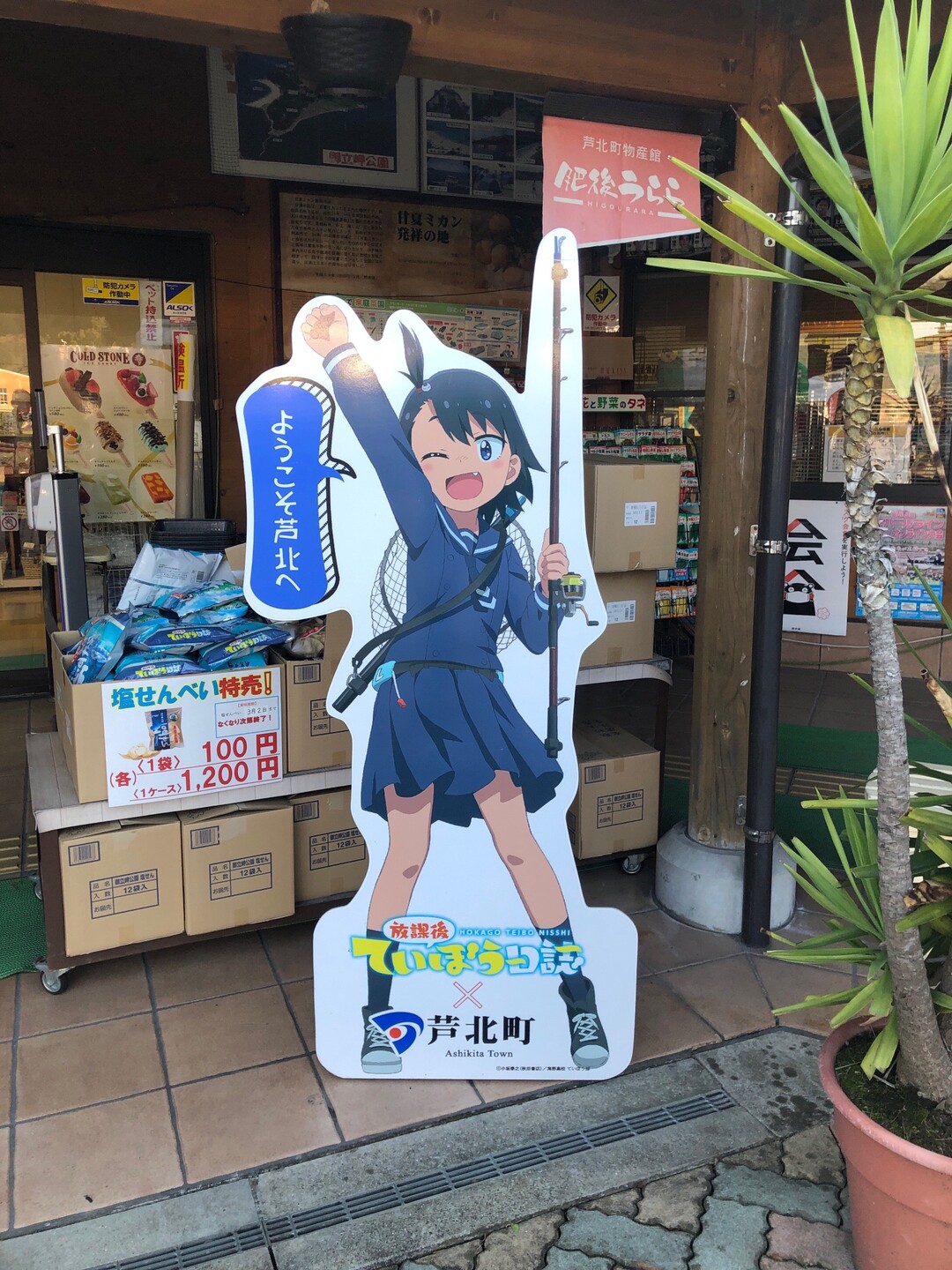 マスオさん的不知火海RUN ️ / ヒデさんのランニングの活動データ | YAMAP / ヤマップ