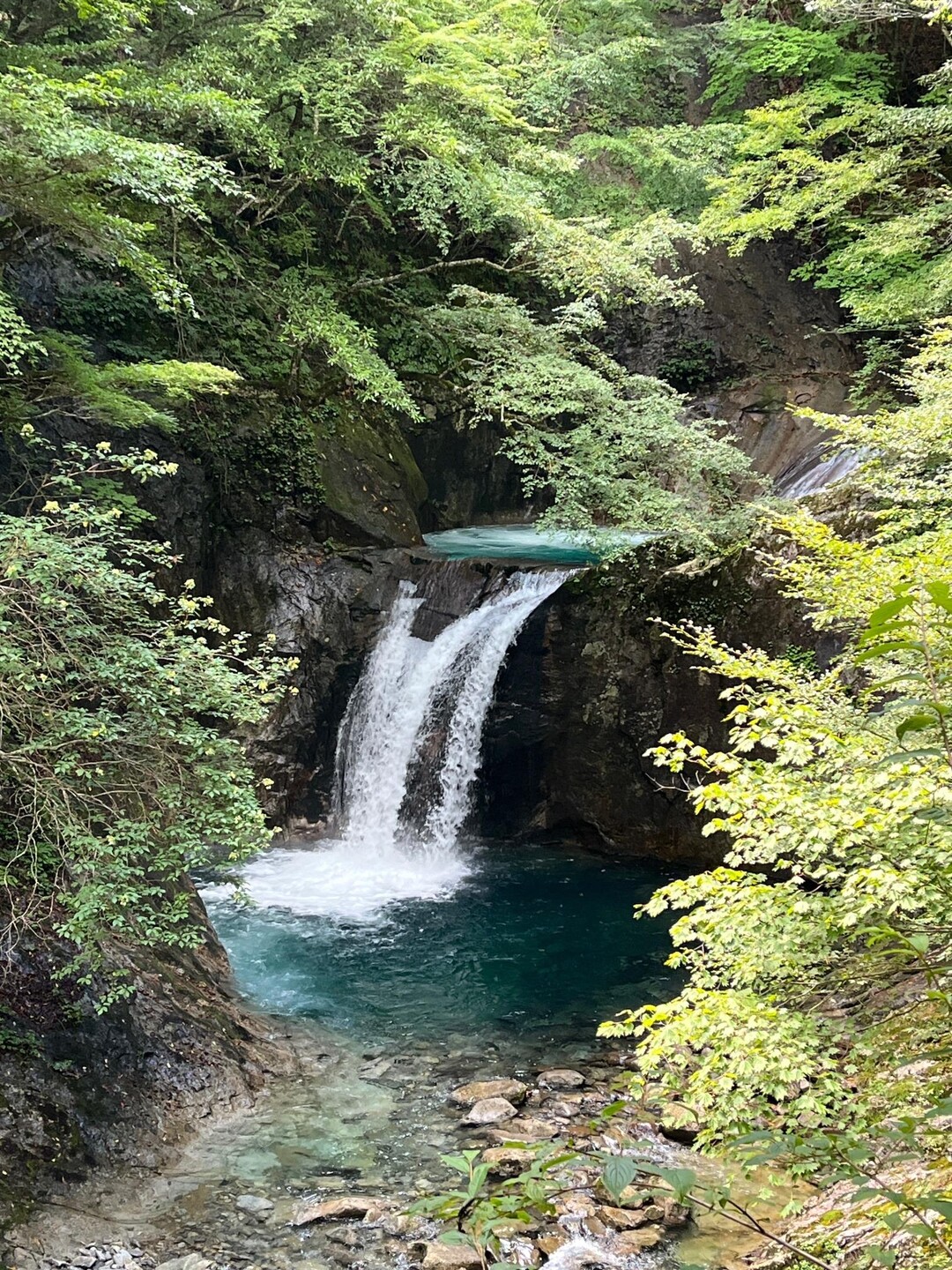 涼を求めて西沢渓谷へ / aromaさんの甲武信ヶ岳の活動データ | YAMAP / ヤマップ
