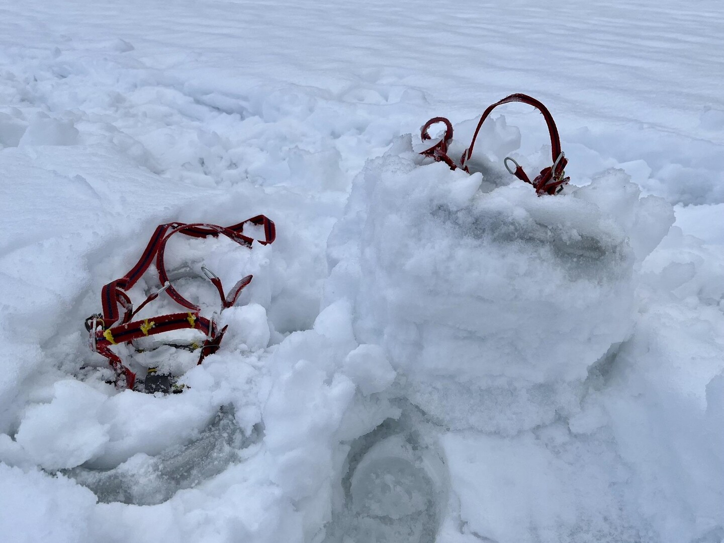 大好き ️横根山😊😊 / w823hさんの小国町の活動データ | YAMAP / ヤマップ