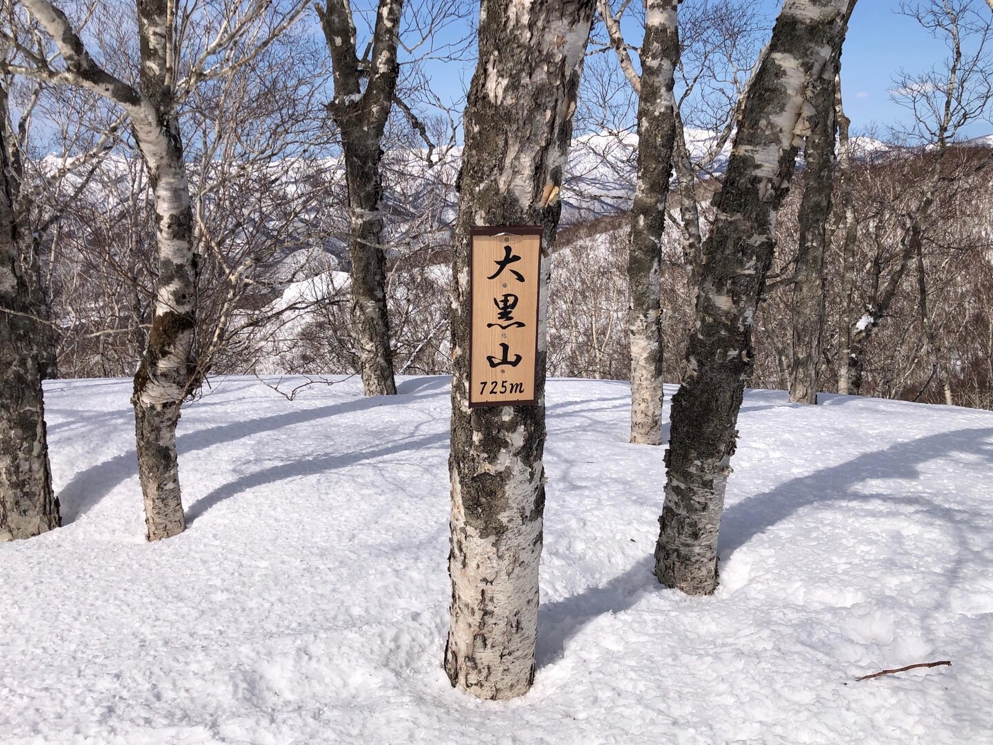 冷水嶺・恵比寿山・大黒山・元服山 / katuraさんの頂白山・大黒山の活動データ | YAMAP / ヤマップ