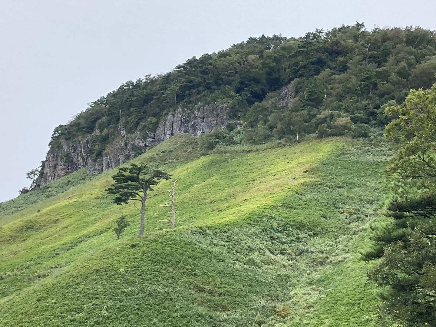 船上山 / nor_manさんの大山・甲ヶ山・野田ヶ山の活動データ | YAMAP / ヤマップ