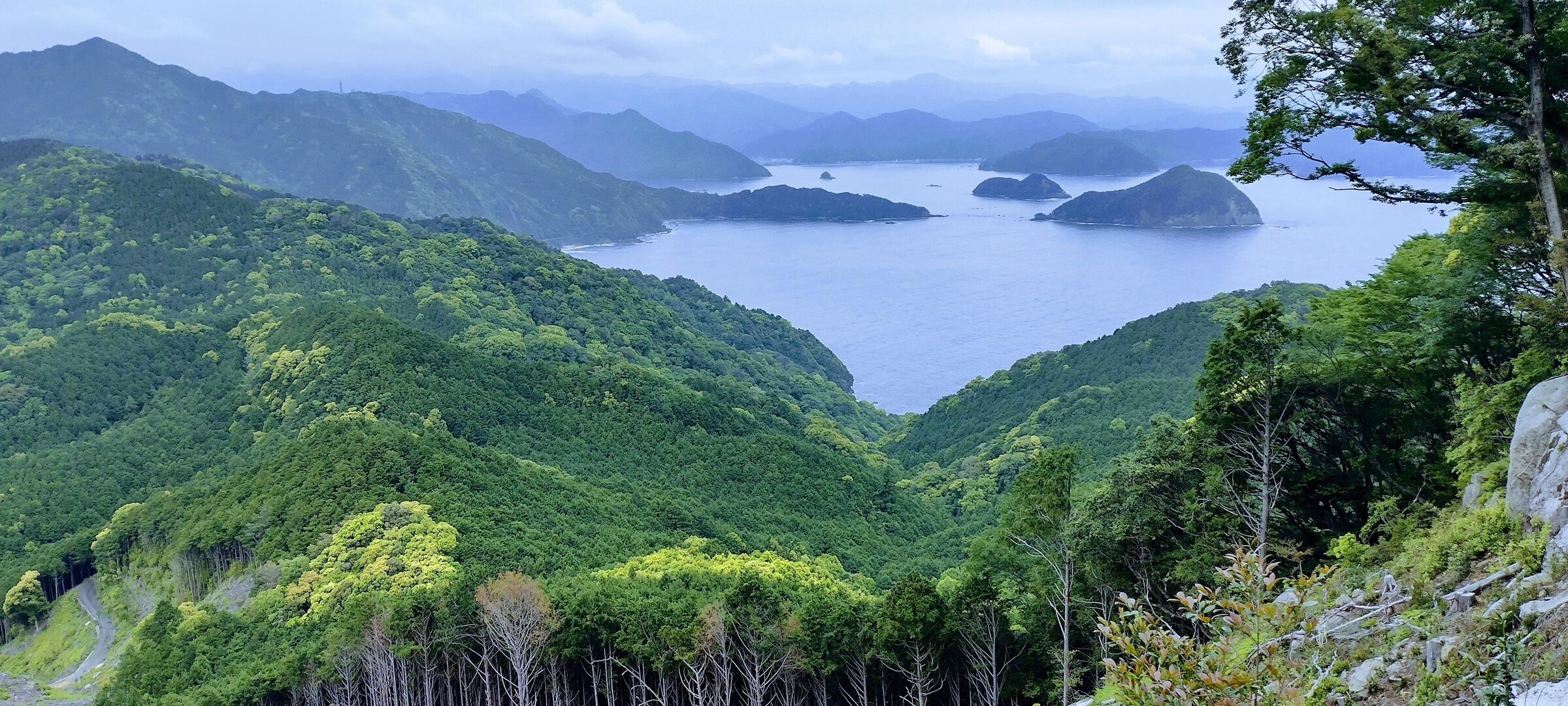 三重県尾鷲市、オハイ・頂山・頂山東峰 / ziziモトさんの熊野古道 伊勢路④の活動データ | YAMAP / ヤマップ