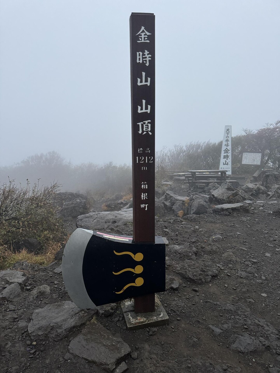 金時山 / FIREさんの金時山・明神ヶ岳の活動データ | YAMAP / ヤマップ