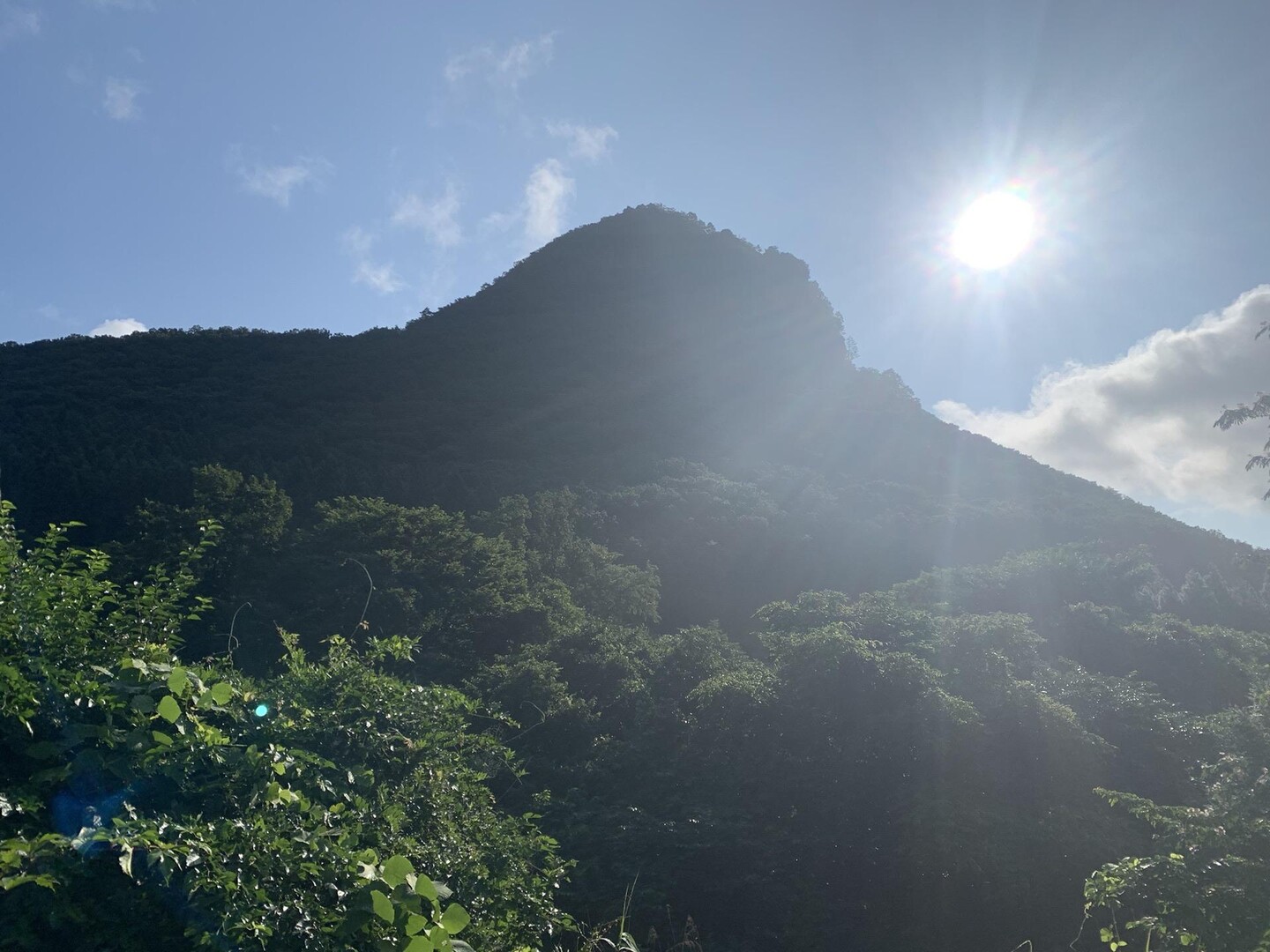 R5.7.22 鎌倉山 / あおかつさんの鎌倉山の活動データ | YAMAP / ヤマップ