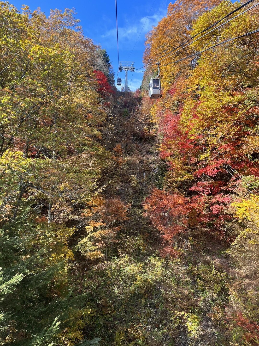 富士見台高原 / cocoさんの恵那山・大判山・神坂山の活動データ | YAMAP / ヤマップ