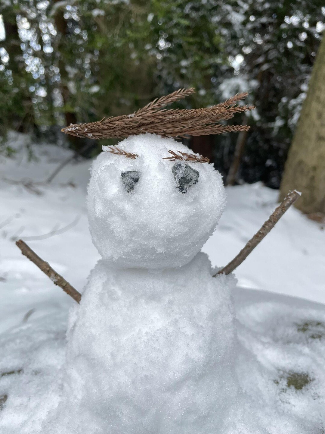 本宮山 / tkさんの本宮山・大日山・風頭山の活動データ | YAMAP / ヤマップ