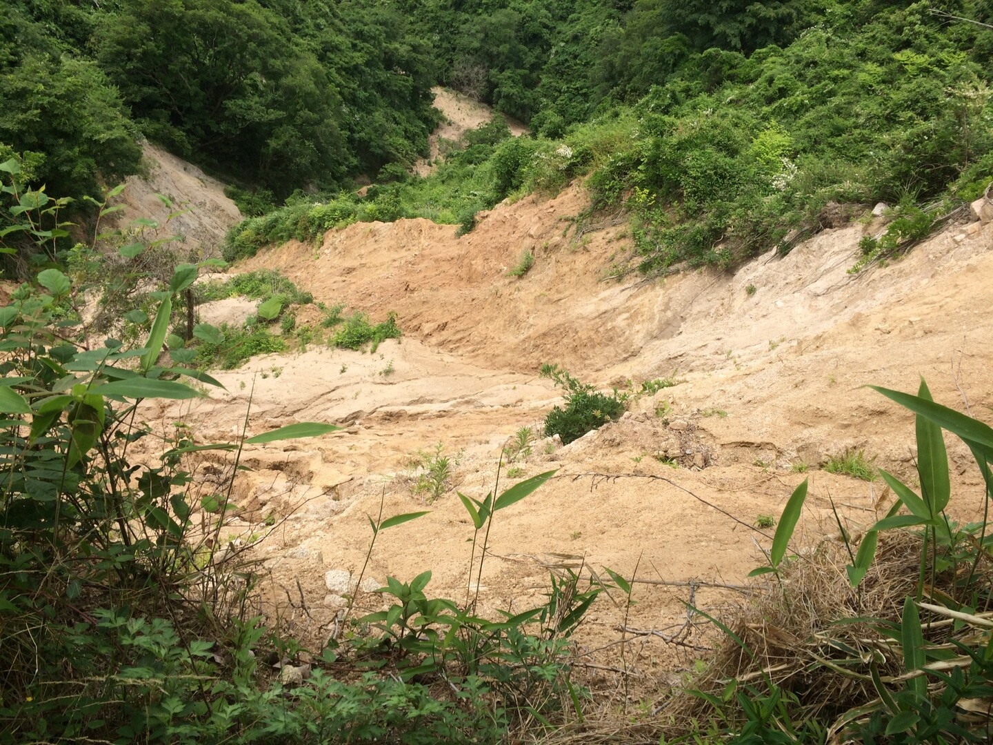 ゑびすさんの投稿したフィールドメモ | YAMAP / ヤマップ