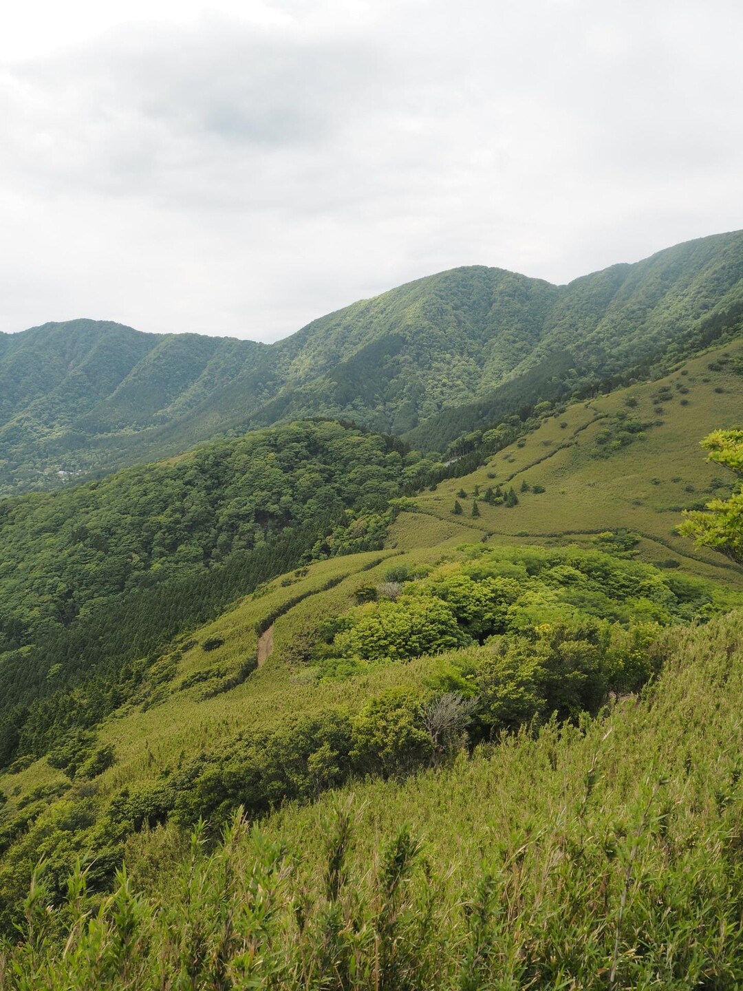 金時山・火打石山・明神ヶ岳 / yuzuさんの金時山・明神ヶ岳の活動データ | YAMAP / ヤマップ