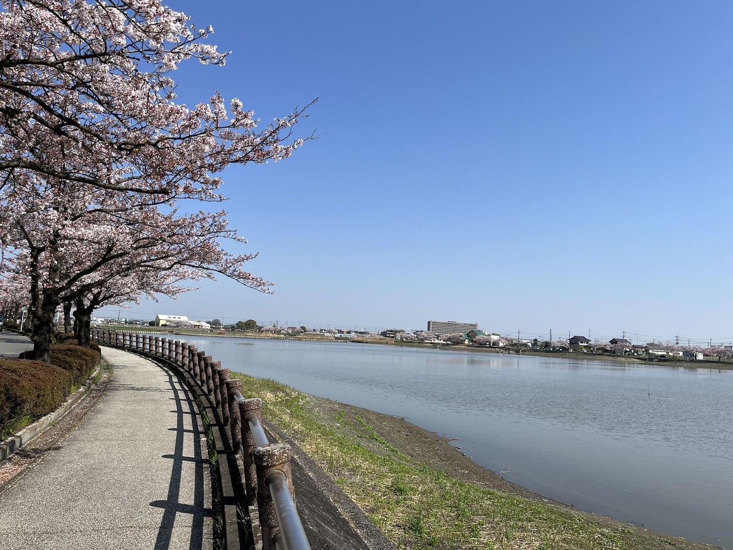 2023.04.01(土) 08:22 / SSMさんのモーメント | YAMAP / ヤマップ