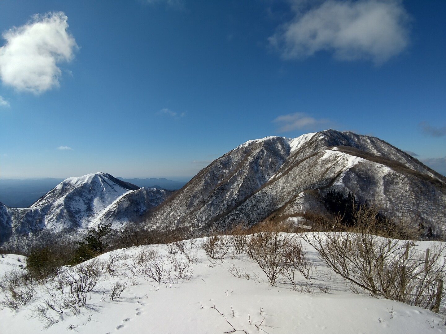 スノーシュー履きおろし＠ 大平山・女三瓶山 / mipotさんの三瓶山・大平山の活動データ | YAMAP / ヤマップ