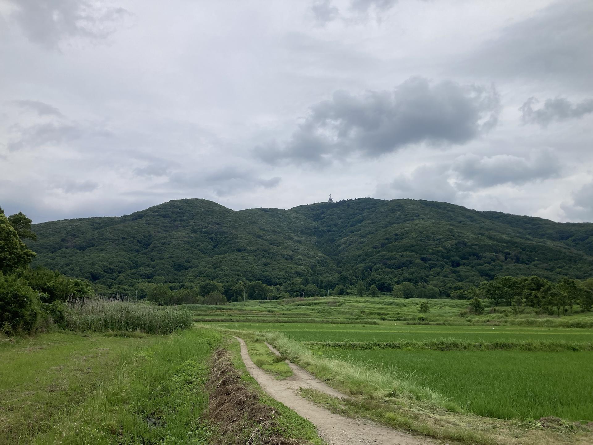 宝篋山・富岡山 / takeさんの宝篋山・富岡山の活動日記 | YAMAP / ヤマップ
