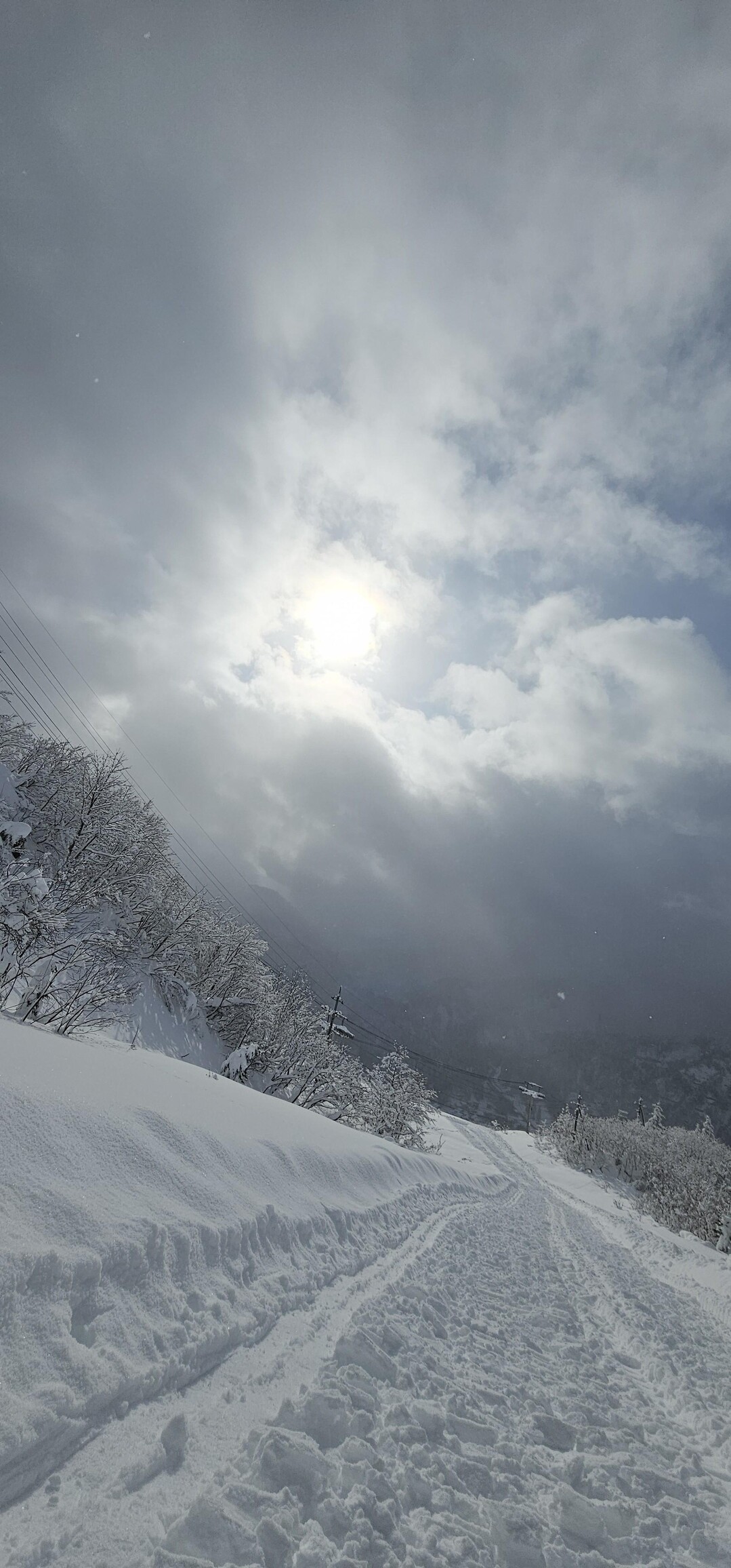 一里野からの白峰BC🏂 / Yasuさんの取立山の活動データ | YAMAP / ヤマップ