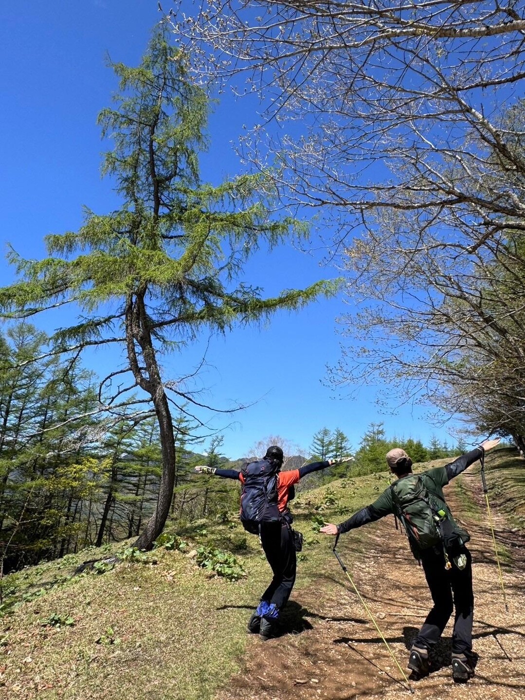 ヨモギノ頭・小雲取山・雲取山 / shiburinさんの雲取山・鷹ノ巣山・七ツ石山の活動データ | YAMAP / ヤマップ
