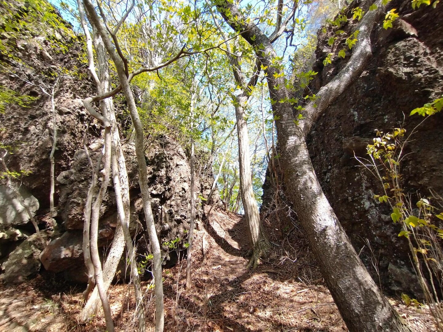 moneさんの投稿したフィールドメモ | YAMAP / ヤマップ