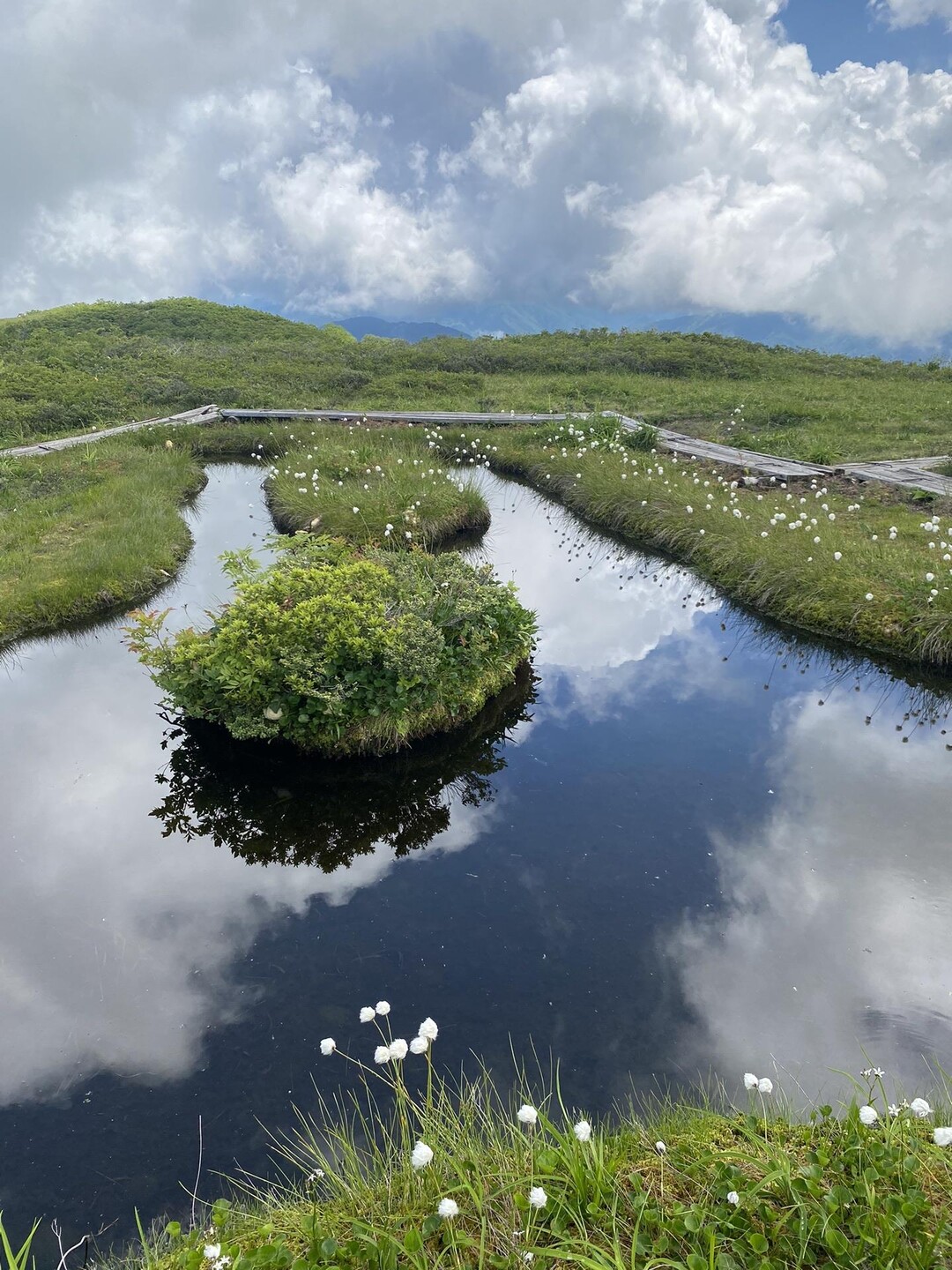 白木峰 / Shigexさんの白木峰・小白木峰の活動データ | YAMAP / ヤマップ
