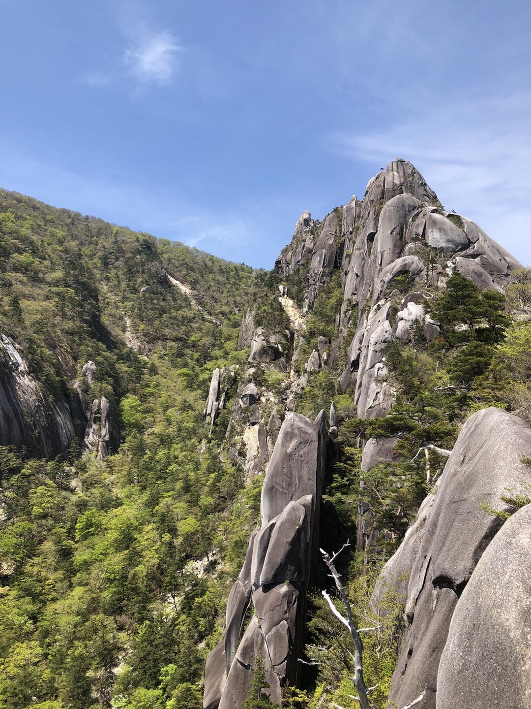 大崩山 / umi chanさんの大崩山・五葉岳・新百姓山の活動データ | YAMAP / ヤマップ