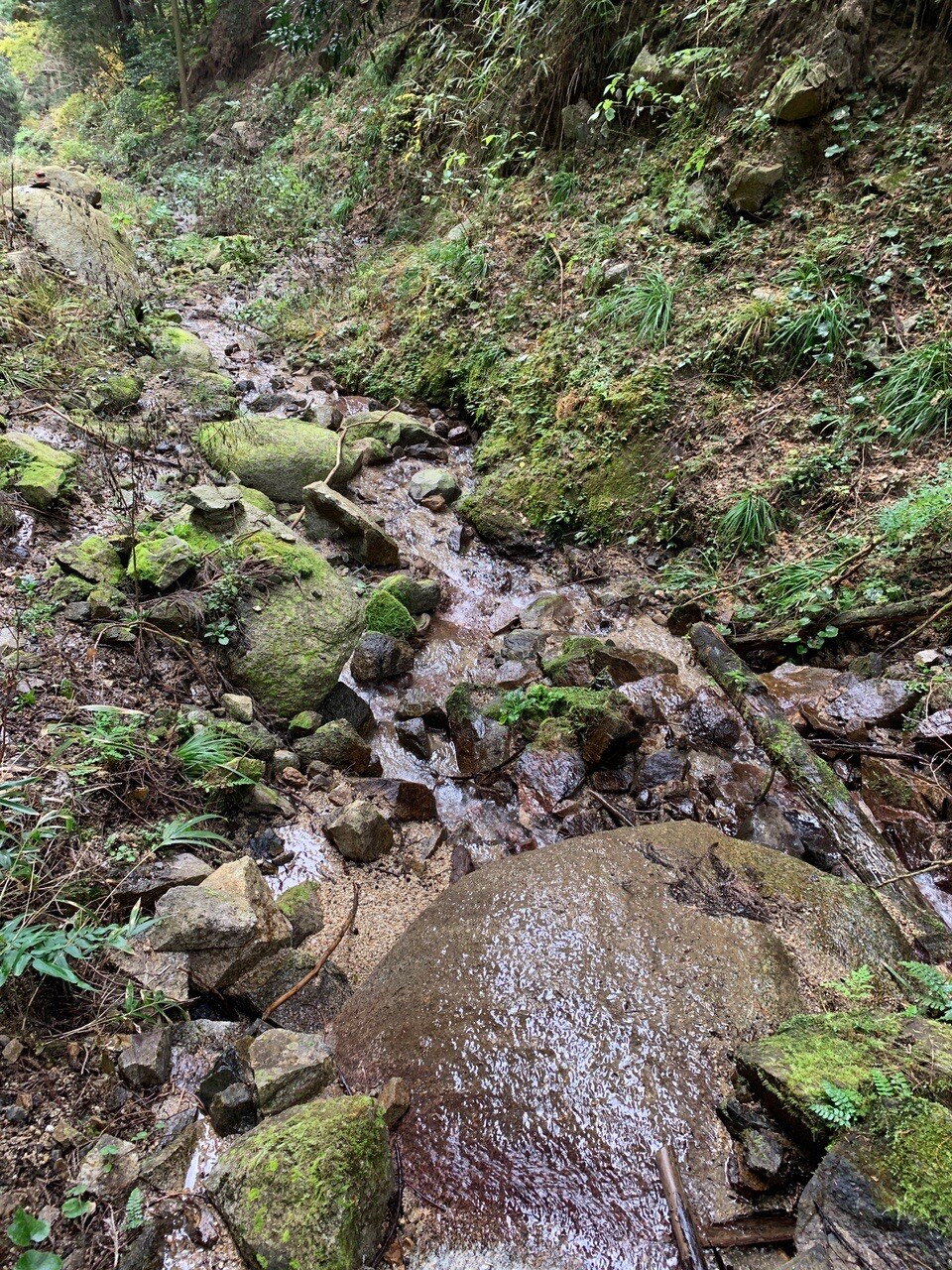 hacoさんの投稿したフィールドメモ | YAMAP / ヤマップ