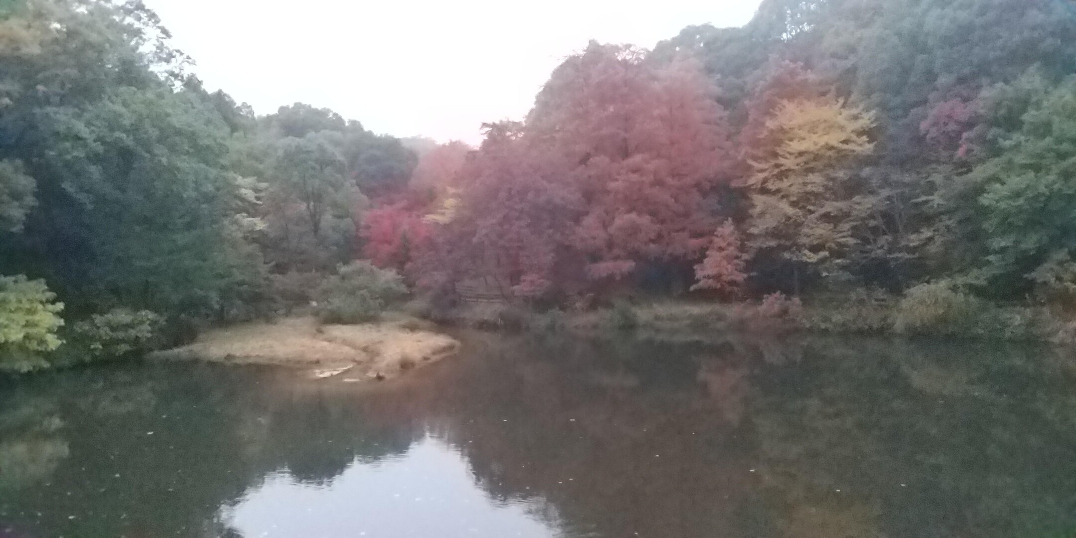 定番の甲山ラントレR4.1113🏃 / ティーニさんの六甲山・長峰山・摩耶山の活動データ | YAMAP / ヤマップ